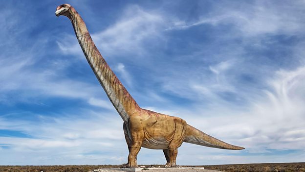 Was this the largest dinosaur to ever roam the planet? - BBC Bitesize