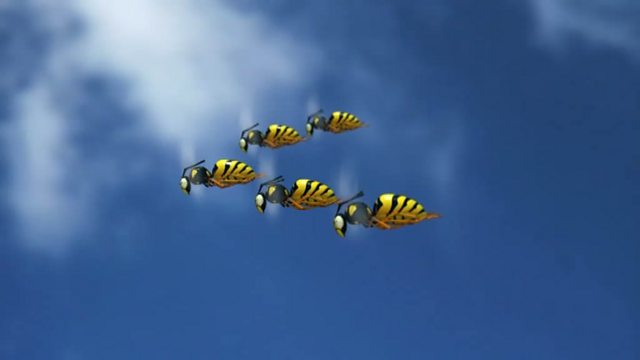 BBC Four - Minuscule: The Private Life of Insects, Acrobatics, Wasp ...