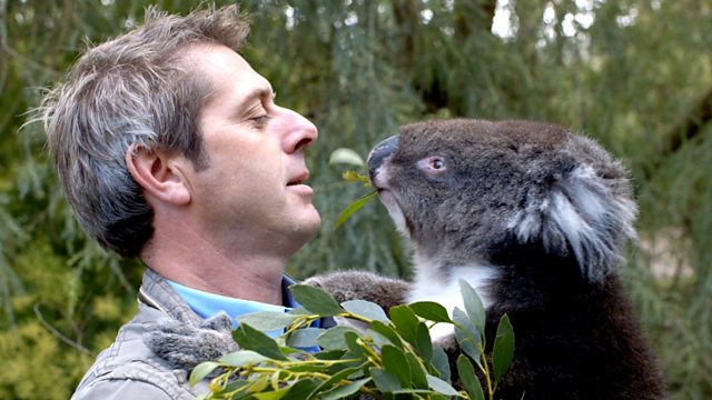 BBC Two - Rise of the Continents