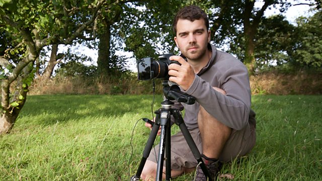 BBC One - The Great British Year, Original Series - Tim Shepherd