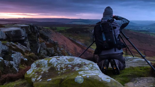 BBC One - The Great British Year, Original Series - Tim Shepherd