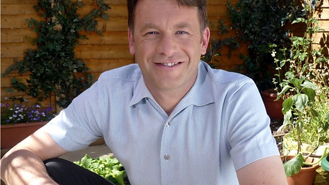 CBeebies - Schedules, Sunday 26 July 2009