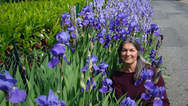 BBC Radio 4 - Shared Planet, Wildlife Aliens and Diseases
