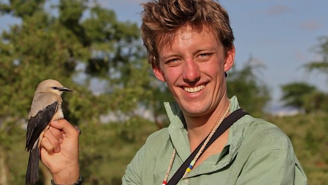 BBC Radio 4 - Shared Planet, Traditional Societies