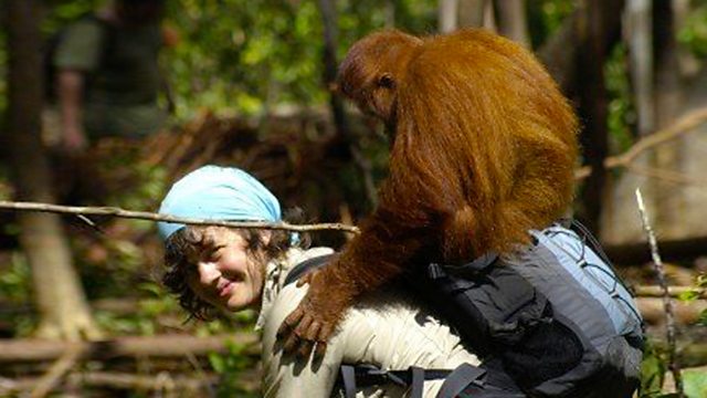 BBC One - Hidden Kingdoms - Verity White - Producer