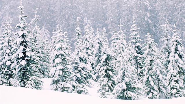 Christmas Concert - BBC Concert Orchestra - BBC