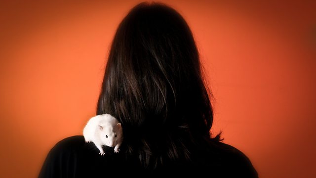 BBC Radio 4 - The Hitchhiker's Guide to the Galaxy - Slartibartfast