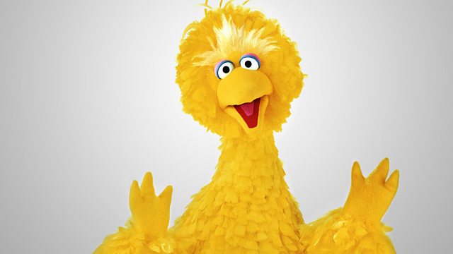 BBC Radio 4 - Tweet of the Day, Big Bird