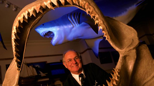 BBC World Service - Discovery, Inside the Shark's Mind