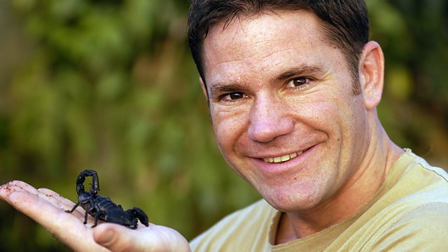 Authors Live Steve Backshall - BBC