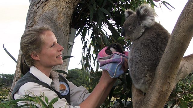 BBC One - Nature's Miracle Orphans, Series 1 - Simone Thompson