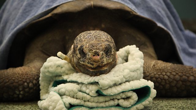 BBC One - Operation Wild