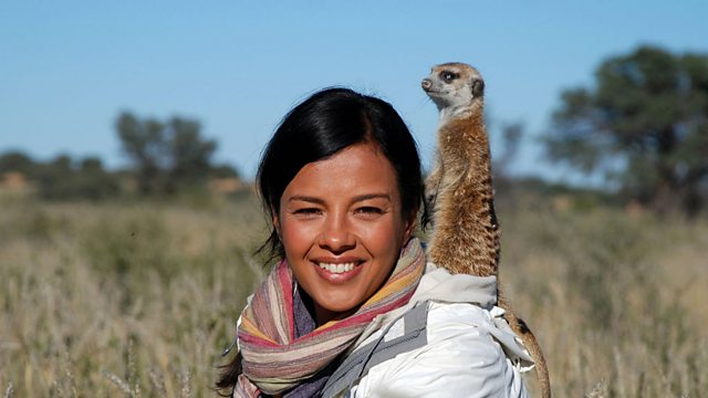 BBC One - Animals in Love