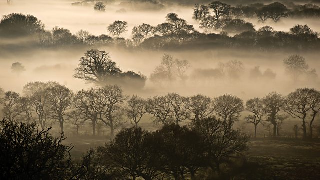 BBC Hoddinott Hall 2015-16 BBC National Chorus of Wales in Concert ...