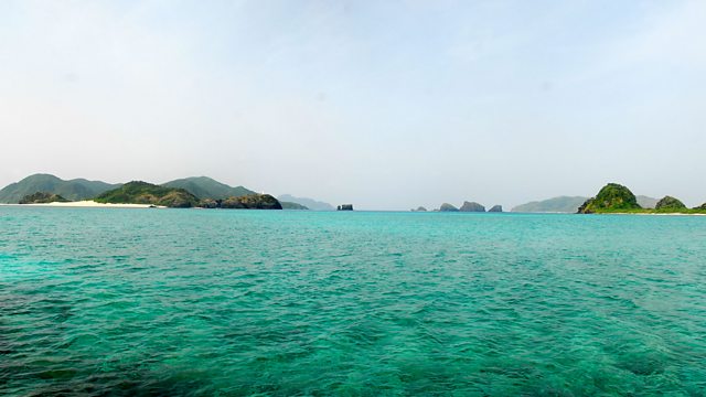 BBC Two - Japan: Earth's Enchanted Islands - Honshu