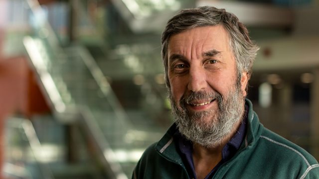 BBC Radio 4 - Natural Histories, Ant
