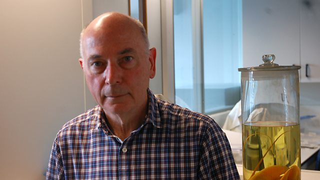 BBC Radio 4 - Natural Histories, Lobster