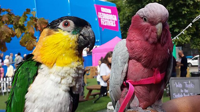 Animal Magic - Performances - BBC at the Edinburgh Festivals 2016 - BBC
