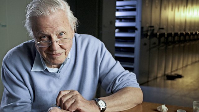 BBC Two - David Attenborough's Rise of Animals: Triumph of the Vertebrates