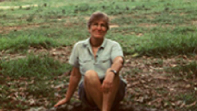 BBC Radio 4 - Natural Histories, Elephant