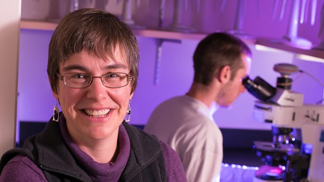 BBC Radio 4 - Natural Histories, Tardigrade