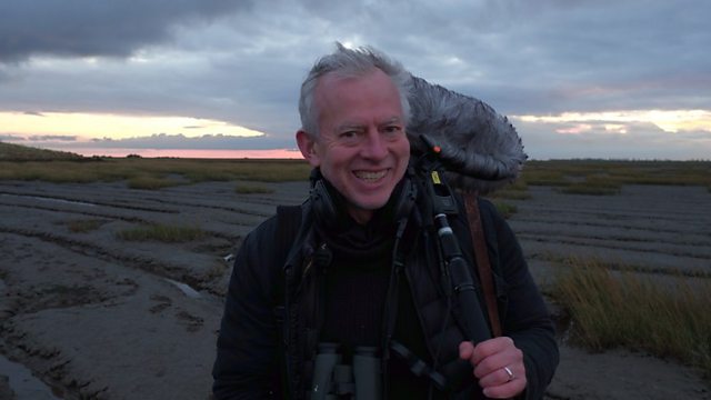 BBC Radio 4 - Natural Histories, Grass