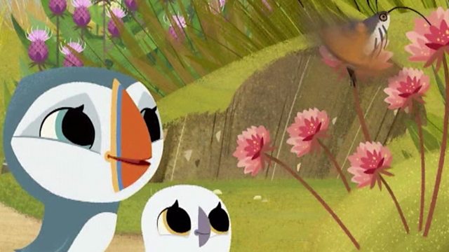 BBC ALBA - Creag nam Buthaidean/Puffin Rock, Series 1, Dol aig Astar ...