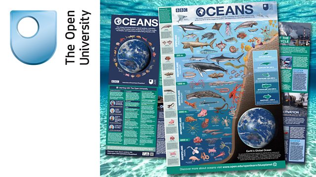 BBC One - Blue Planet II