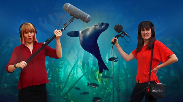 BBC One - Blue Planet II