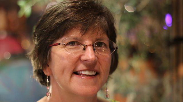 BBC Radio 4 - The Digital Human, Series 13, Visage