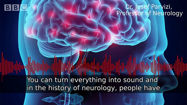 BBC World Service - Newsday, The sound of a brain