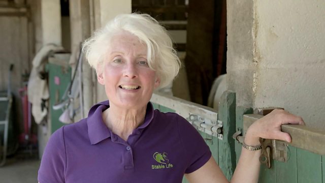 BBC - Stable Life