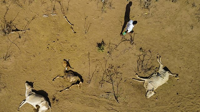 BBC World Service - Focus on Africa, Global warming experts' stark ...