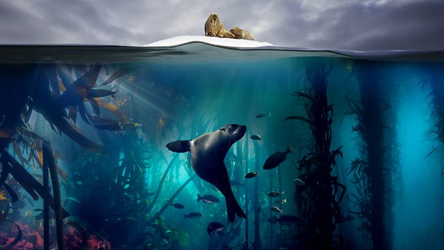 BBC One - Blue Planet II, Series 1