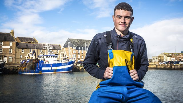 BBC One - Fish Town