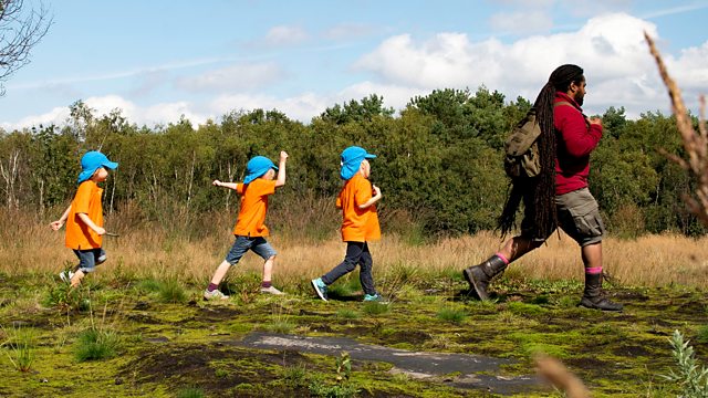 CBeebies - Let's Go for a Walk