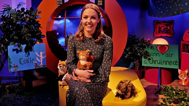 BBC ALBA - Stòiridh - Next on
