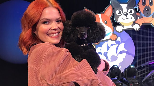 CBBC - Schedules, Sunday 21 February 2021