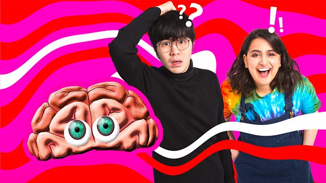 CBBC - Don't Blame Me, Blame My Brain