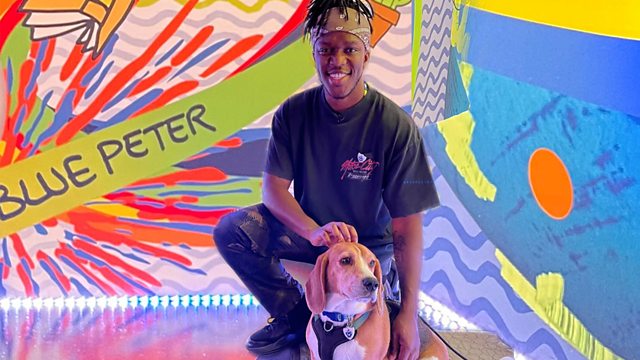 BBC Two HD - Schedules, Saturday 24 July 2021