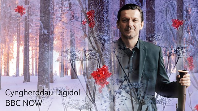 BBC Hoddinott Hall 2022-23 Digital Schools Workshop - BBC National ...