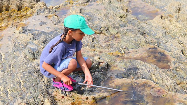 CBeebies - This Is Me