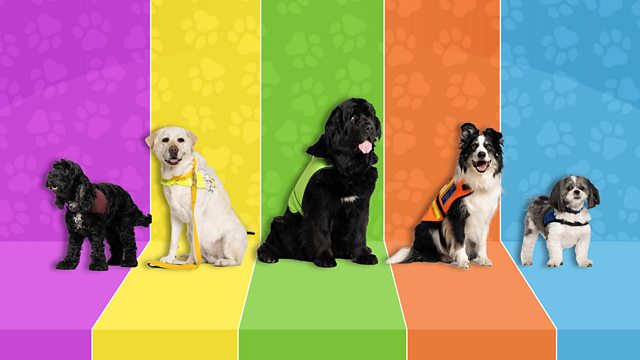 BBC - Programmes categorised as Children's - Available now