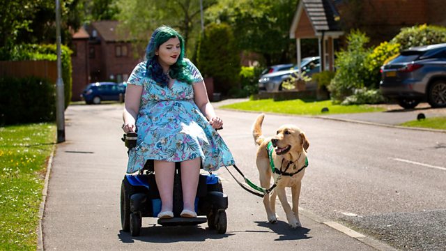 BBC Radio 4 - Radio 4 Appeal, Dogs for Good