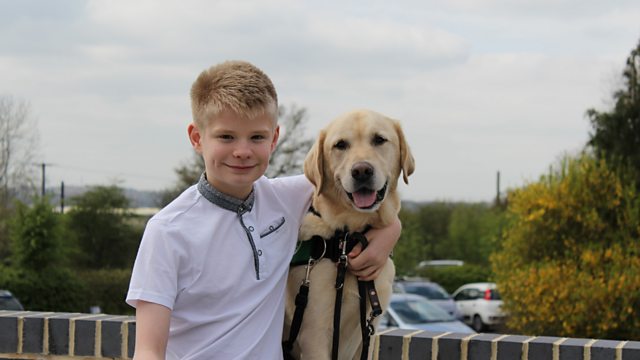 BBC Radio 4 - Radio 4 Appeal, Dogs for Good