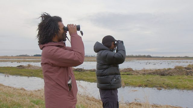 BBC One - The One Show, Searching for Cranes