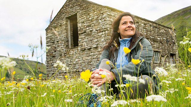 BBC - Programmes categorised as Factual: Travel - Available now