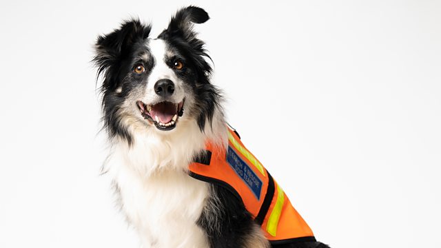 BBC - Superheroes on CBeebies