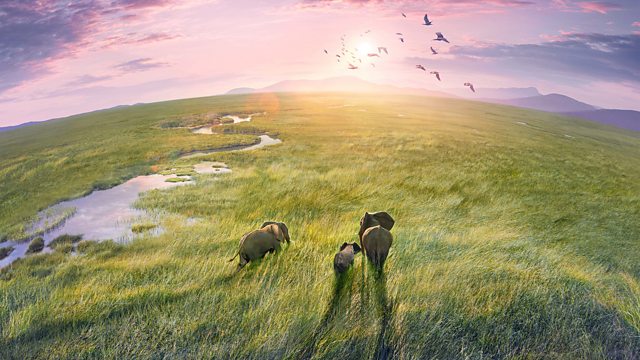 BBC Radio 4 - The Planet Earth Podcast