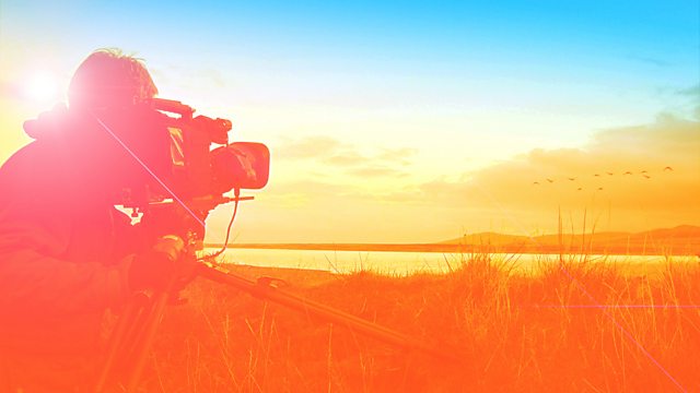 BBC Scotland - Wild Cameramen at Work, Gallery - Flying fish
